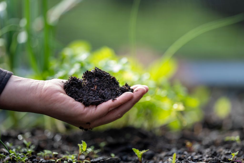 Solurile României: clasificare agricolă și metode de analiză