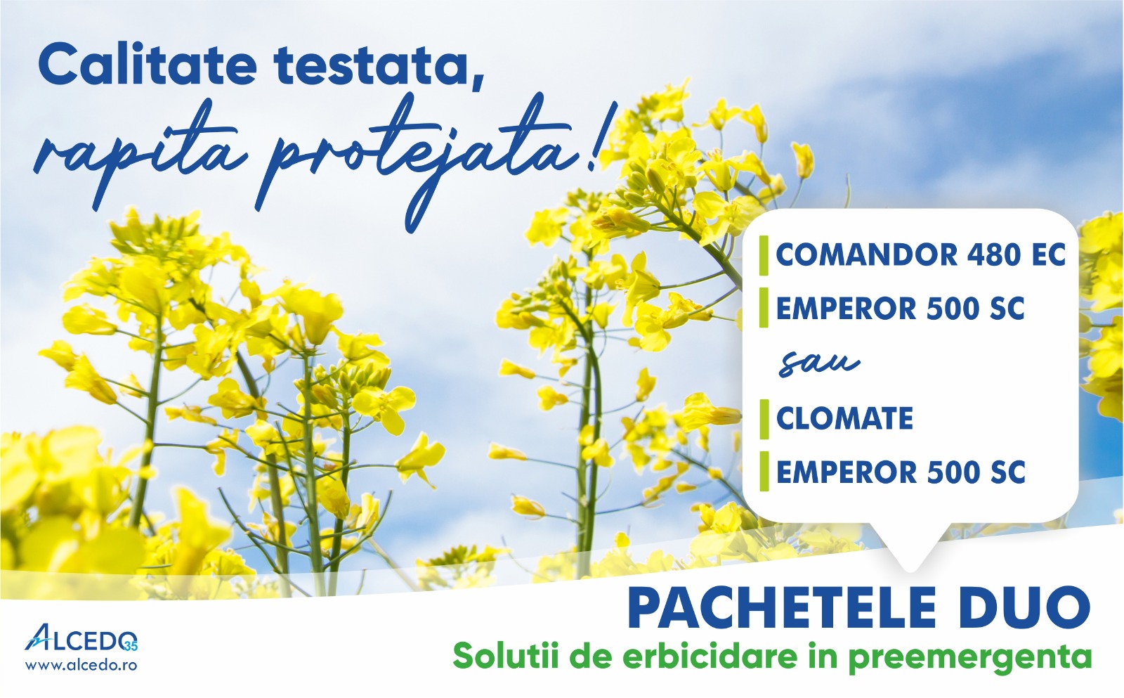 Solutii de erbicidare in preemergenta la culturile de rapita - ALCEDO