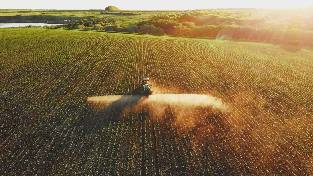 Fertilizarea solului toamna – pas esențial pentru recolte sănătoase ...